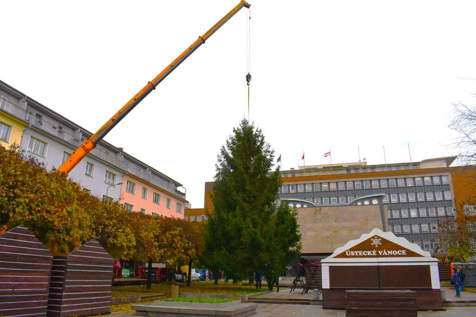ÚSTÍ N. L.: Vánoční strom byl již usazen na Lidickém náměstí - Ústecko24