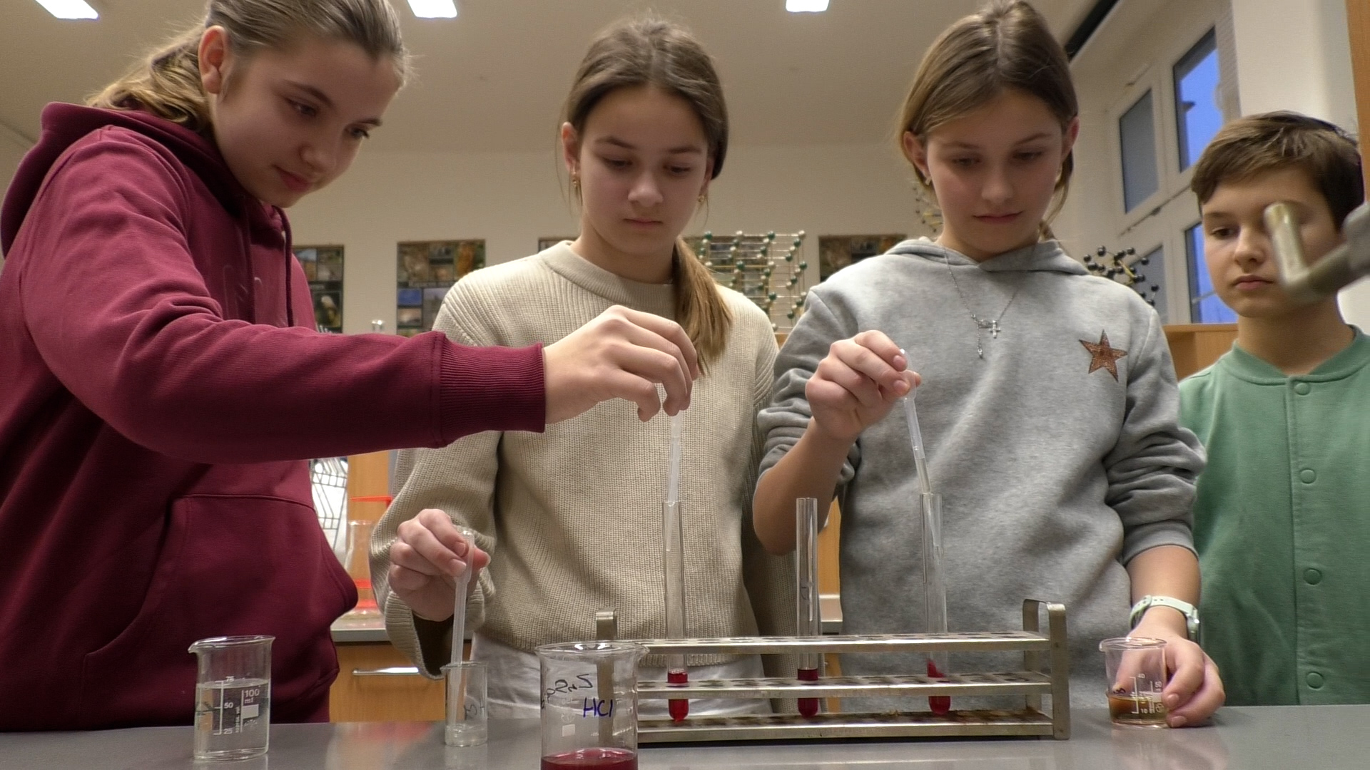 LOVOSICE: Gymnázium Lovosice opět otevřelo své dveře veřejnosti - Ústecko24